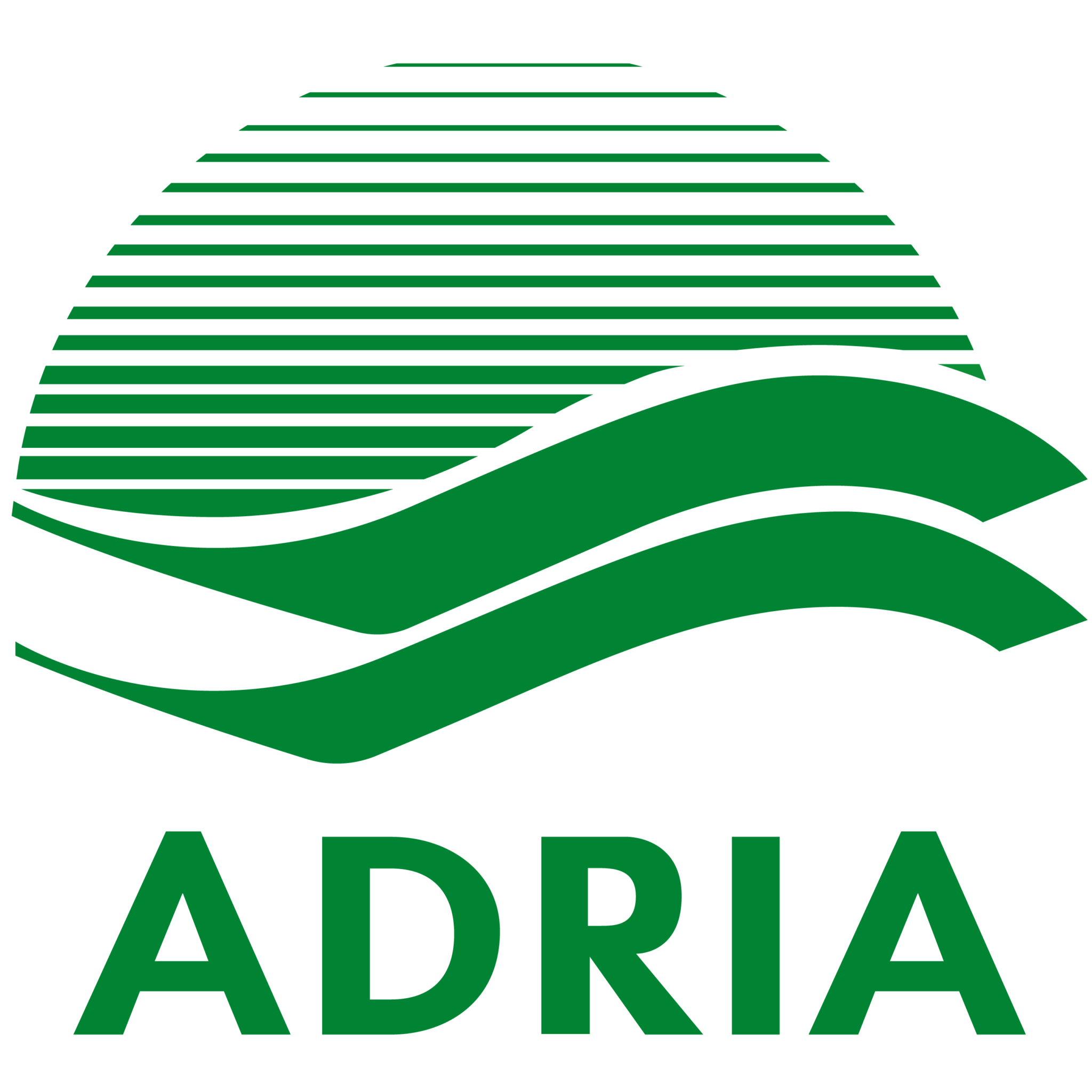 KYPHOPLASTY Archives - Adria Medical